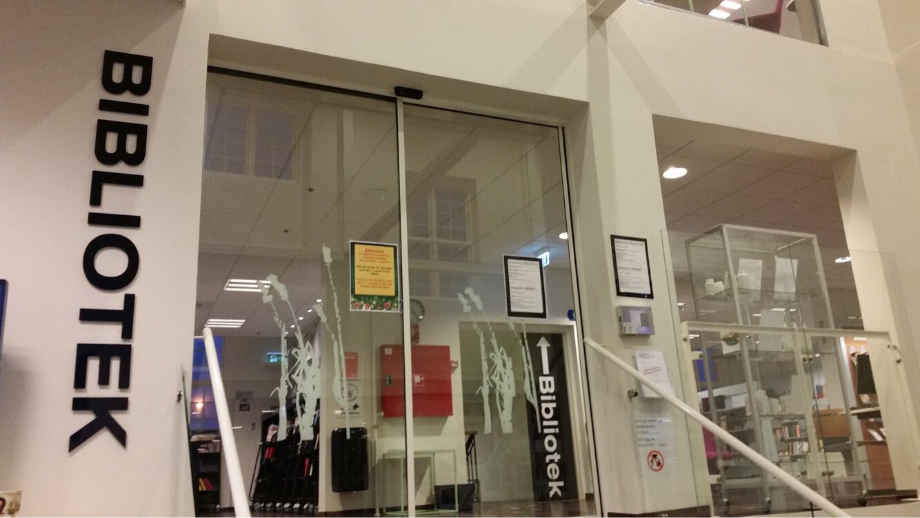 Skagen library – a wheelchair-friendly library where the librarians ...