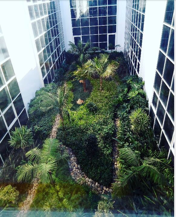 The Grand Tangier Library – an architechtural landmark in Morocco ...