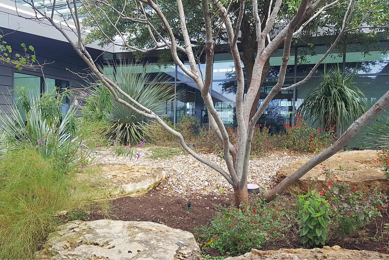 Austin Central Library, Texas – a sustainable dream library! – Library ...